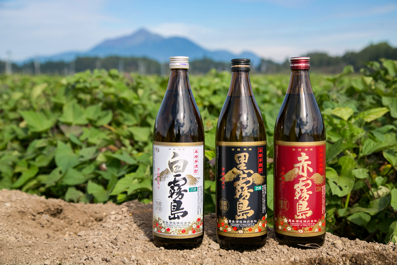 Japanese Alcohol and the Types of Drinks Available